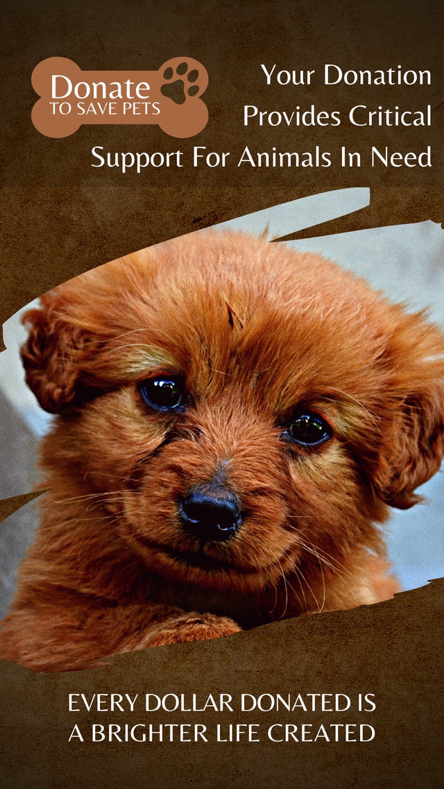 Official Website of Beeville, Texas - Beeville Animal Control Donation Page